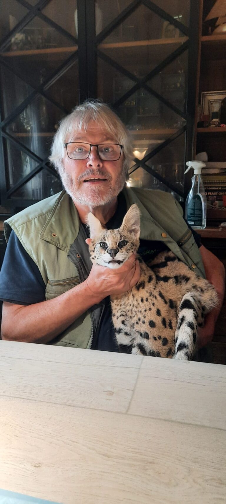 Wat je moet weten over een Serval kat als huisdier en Medische Zorg ...